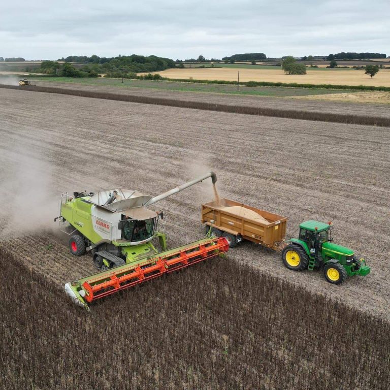 The Estate - Eynsham Park Estate